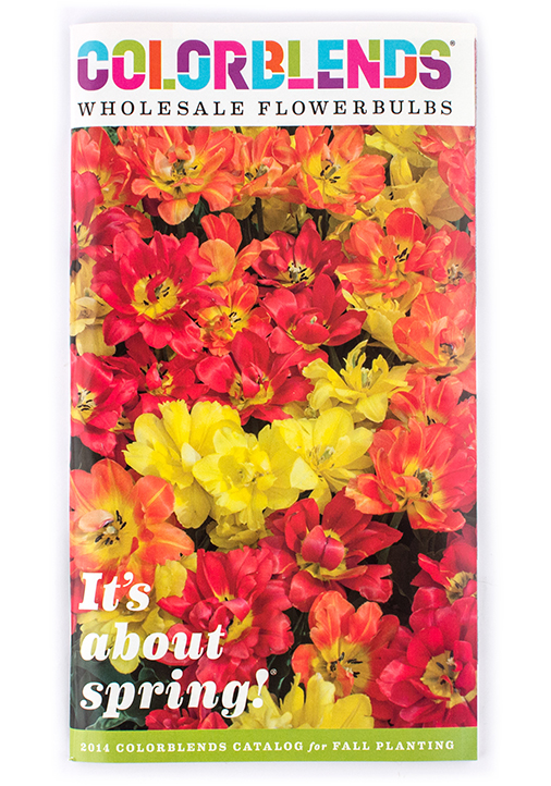 Colorblends Wholesale Flowerbulbs : Alexander Isley Inc. Designers